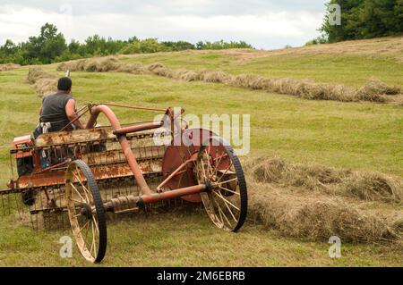 Collecting hay by vintage machines on mountain meadow in summertime ...