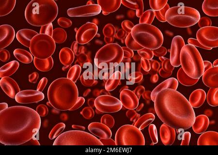 Erythrocytes in bloodstream microscope view Stock Photo - Alamy