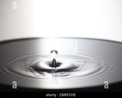 A grayscale of the water drops splashing into the surface of the water ...