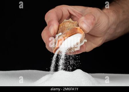 sand pouring out of sea shells on black background Stock Photo - Alamy