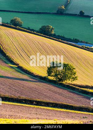 Fields and Farms over Devon, England, Europe Stock Photo - Alamy