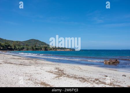 discovery of the island of beauty in southern Corsica in May, France ...