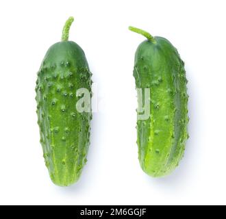 Fresh green cucumbers isolated on white background Stock Photo - Alamy
