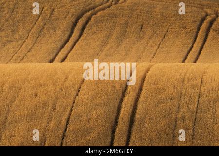 Rolling fields of Moravia Stock Photo - Alamy