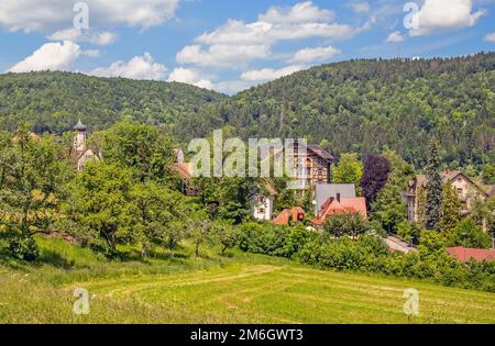 Beuron in the Danube valley with former post station and the railroad ...