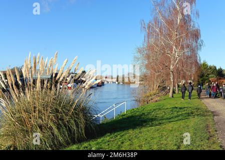The River Thames and riverside at Laleham Staines on a sunny winters ...
