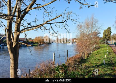 The River Thames and riverside at Laleham Staines on a sunny winters ...