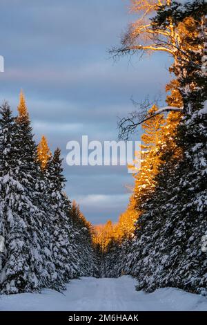 Sunrise Waskesiu Saskatchewan Stock Photo - Alamy