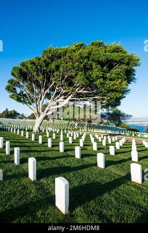 USA, California, San Diego, Fort Rosecrans National Cemetery Stock ...