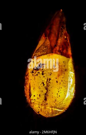A piece of yellow opaque natural amber classification color Bastard ...