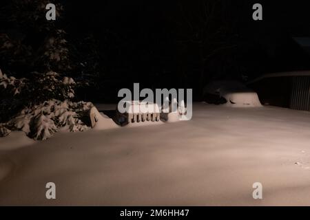 Snowy bench made of pallets at dark night Stock Photo - Alamy