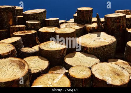 Timber Management - Cut -over Area - New York. Photographs Relating to ...