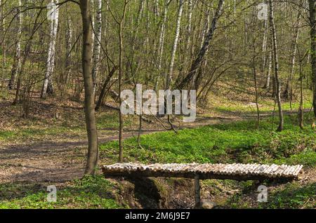 Little bridge over the stream. Sunny day in early May Stock Photo - Alamy
