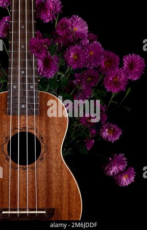 Brown guitar ukulele front side magenta flowers black background Stock ...