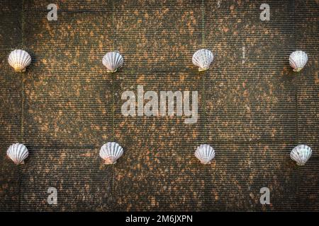 Rows of multicolored decorative scallop shells on a granite wall Stock ...