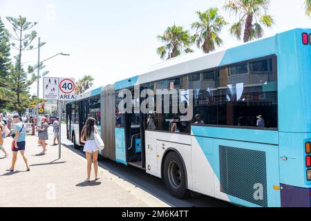 Bondi Beach Sydney 2023, passengers alight Sydney buses on Campbell ...