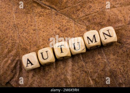 Autumn or fall composition or concept and word Autumn Stock Photo - Alamy