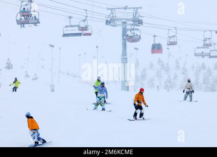 ALTAY, CHINA - JANUARY 4, 2023 - Tourists ski at the Jiangjun Mountain ...