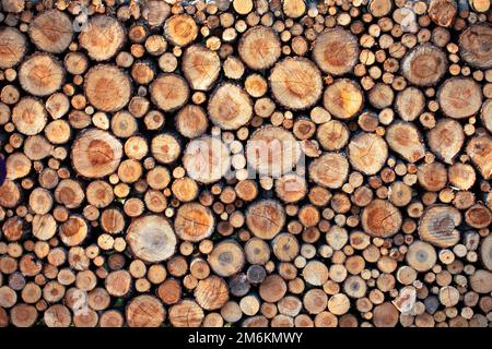 Round sections of wooden branches. Abstract natural background or ...