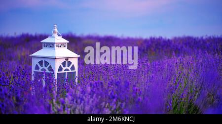Lavender fields with decorations. Great places for photo shoots ...