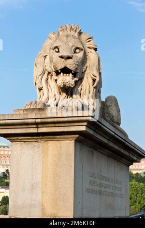 Budapest cheney chain bridge stone lions Stock Photo - Alamy