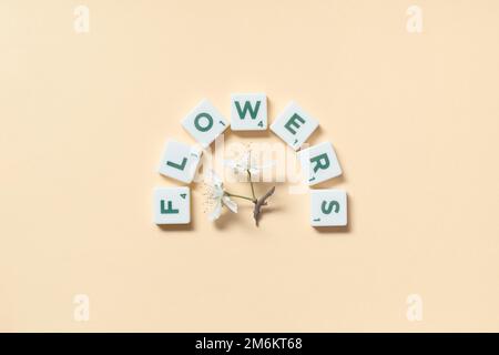 Spring flowers with scrabble tiles on pink background Stock Photo - Alamy