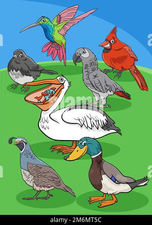 Cartoon birds species animal characters set Stock Photo - Alamy