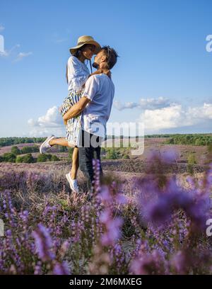 Posbank National park Veluwe, purple pink heather in bloom, blooming ...