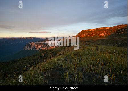 Sunset on rock formations on Amuri Tepui, Venezuela Stock Photo - Alamy