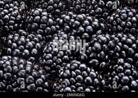 Blackberry background. Forest berries texture, full depth of field ...