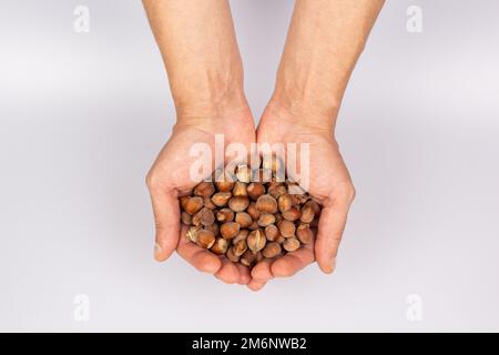 Two male hands hold hazelnuts on a gray background. Harvest concept ...