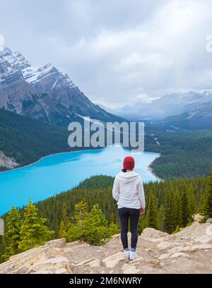 Fox, Banff National Park, Alberta, Canada Stock Photo - Alamy