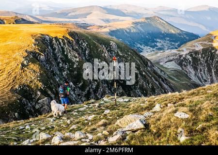 Man and dog trekking in high mountains Stock Photo - Alamy