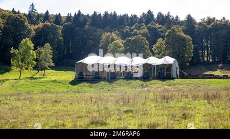 Bibracte Archaeological Center. Gallic archaeological ruins on Mount ...