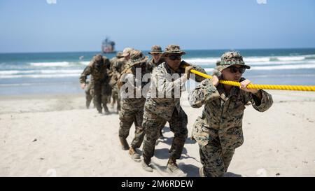 U.S. Marines with Bulk Fuel Company, 7th Engineer Support Battalion ...