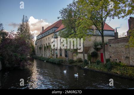 Beginhof is a beautiful courtyard with an ancient poorhouse (hofje) in ...
