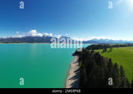 Lake Forggensee in the Koenigswinkel with the Alps in the background ...