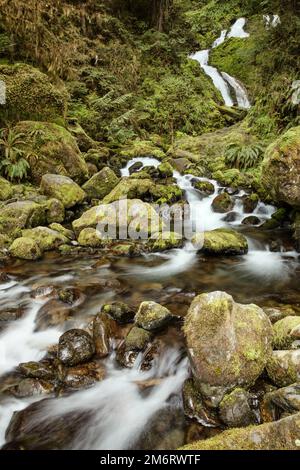 Merriman Falls. Olympic National Park, Washington, USA Stock Photo - Alamy