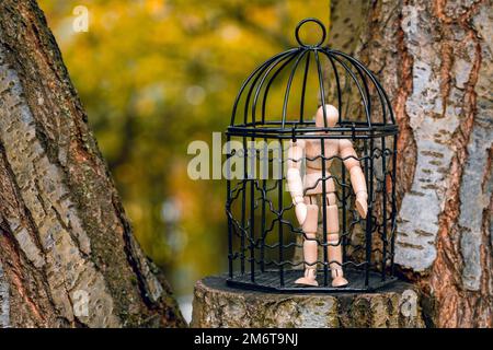 Dummy inside a birdcage Stock Photo - Alamy