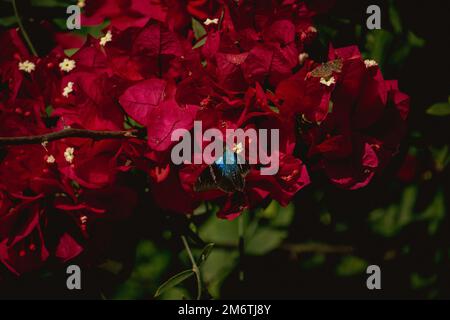 Images from Sinaloa Mexico captures the beauty of the nature’s ...