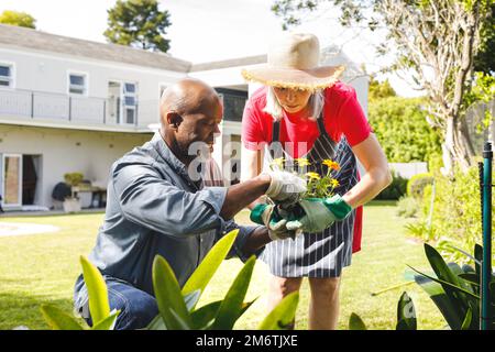 Happy senior diverse couple working in garden Stock Photo - Alamy