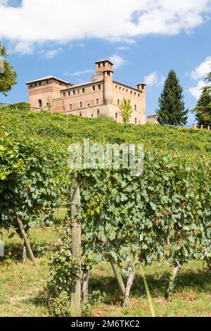 Old castle of Grinzane Cavour in Piedmont Stock Photo - Alamy