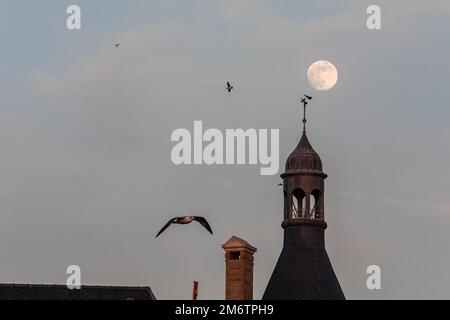Birds flying around the dome of Haydarpasa Train Station. (Photo by ...