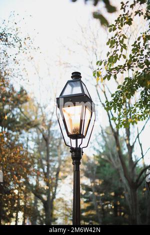street photography graffiti lamps park signs stop no parking signs ...