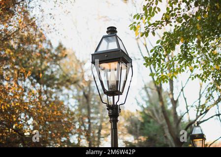 street photography graffiti lamps park signs stop no parking signs ...