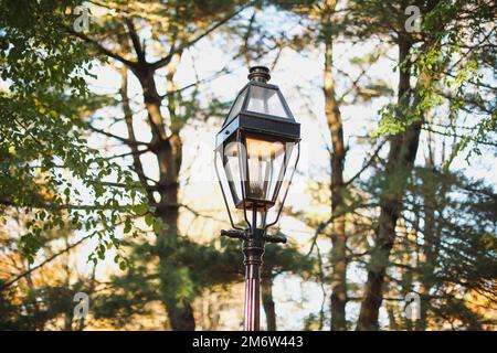 street photography graffiti lamps park signs stop no parking signs ...