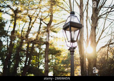 street photography graffiti lamps park signs stop no parking signs ...