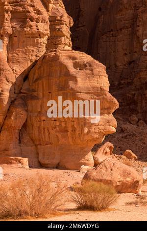 Stone rock head in Wadi Rum desert, The Valley of the Moon, southern ...