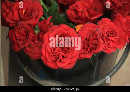 fresh dark red roses close up texture background.Bouquet of roses. Rose ...