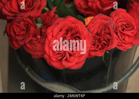 Natural red roses background. atmosphere of celebration, love and ...